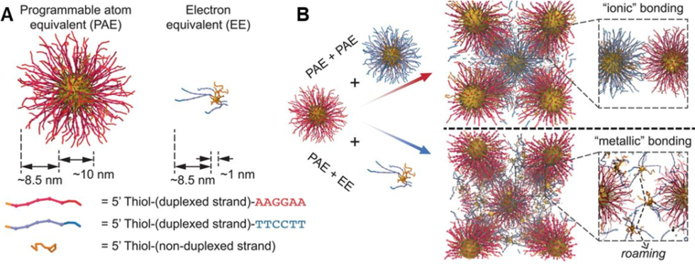 Programmable Nanomaterials - Mirkin