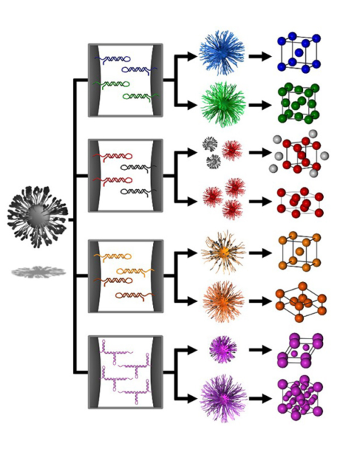 Programmable Nanomaterials - Mirkin