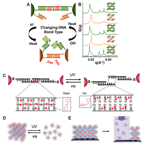 Programmable Nanomaterials - Mirkin