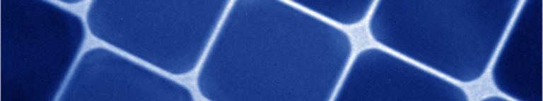 Selected Publications - Mirkin